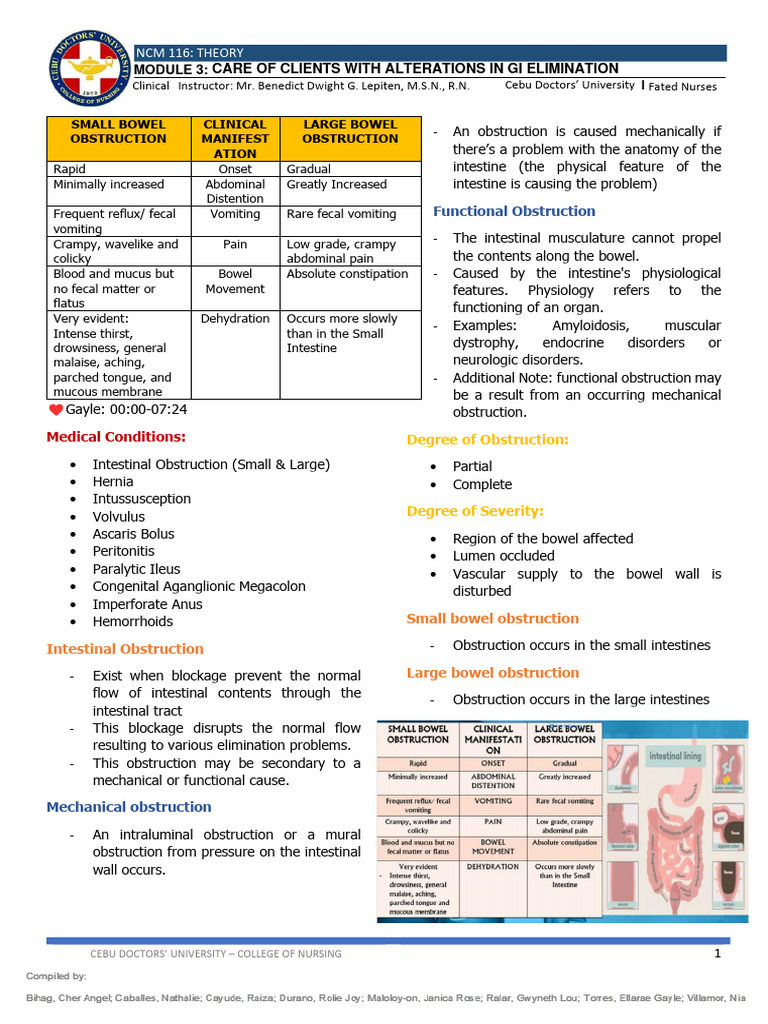116 - Alterations in GI Elimination | PDF | Hemorrhoid | Constipation