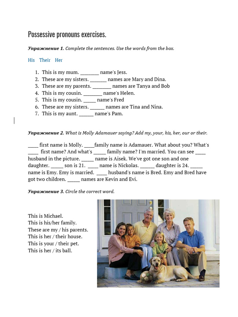 Possessive Pronouns Exercises Guide | PDF