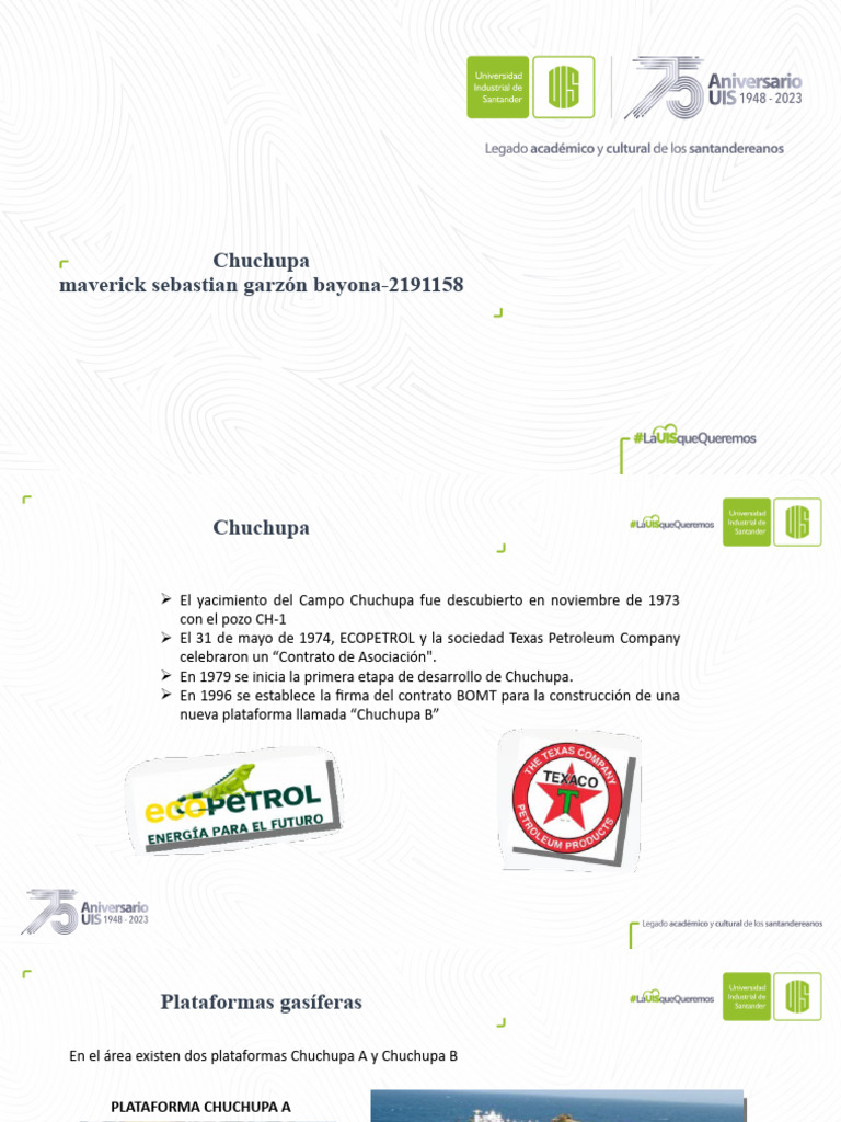 Parte Analisis Chuchupa | PDF