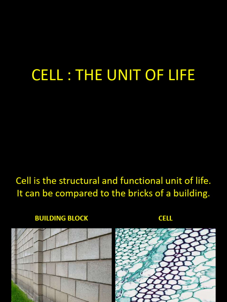 Cell Pdf Cell Biology Microscope