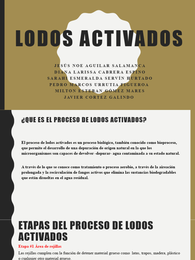 Lodos Activados | PDF
