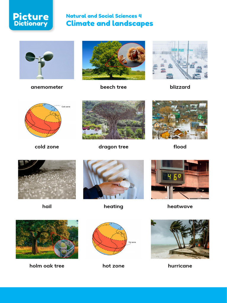 Climate Landscapes Picture Dictionary | PDF | Home & Garden | Science ...