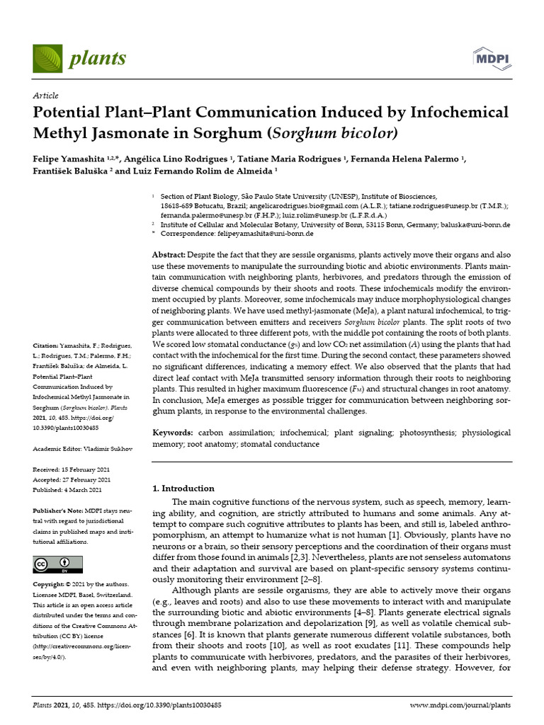 Potential Plant-Plant Communication Induced by Infochemical Methyl Jasmonate in Sorghum (Sorghum ...
