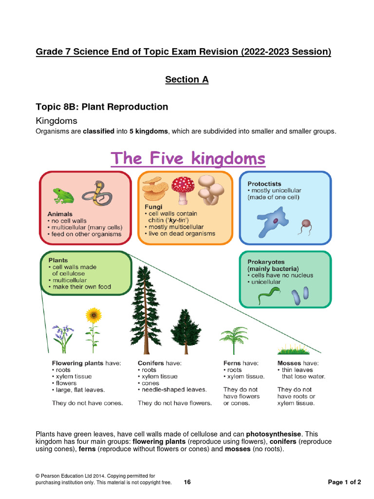 Grade 7 Science Term 3 Exam Revision Notes | PDF | Seed | Sexual ...
