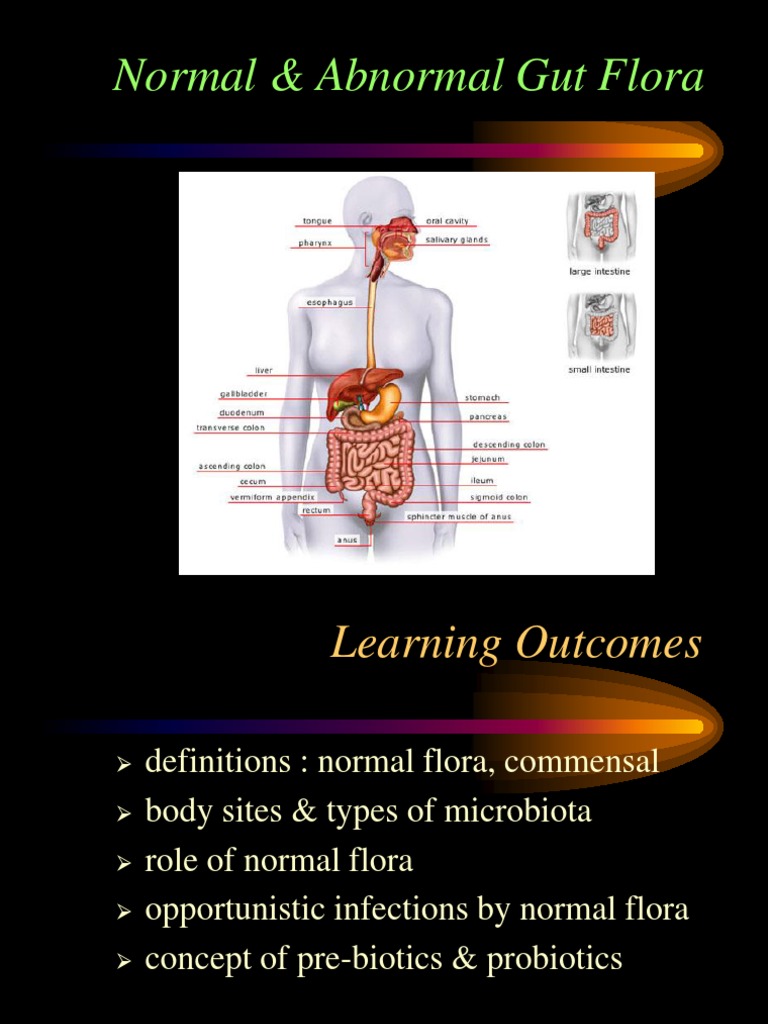 Understanding the Complex Relationship Between Normal and Abnormal Gut ...