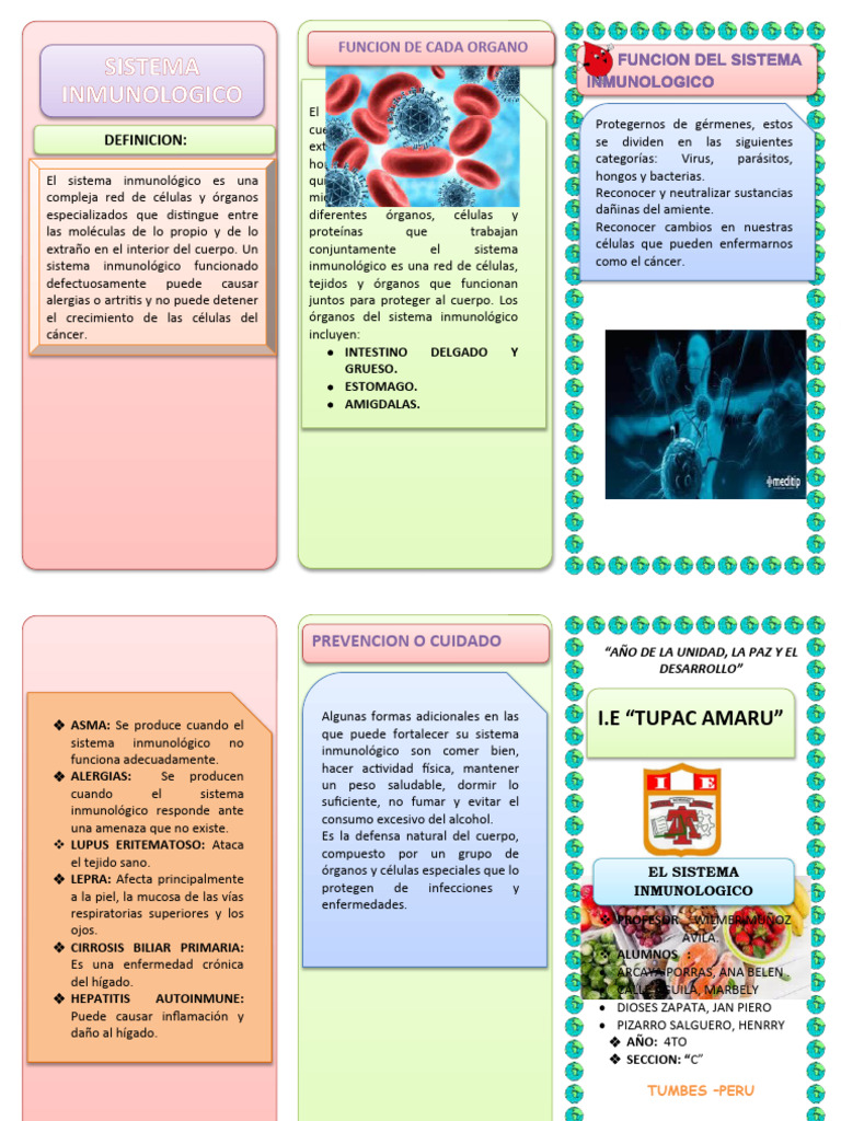 Sistema Circulatorio Triptico Ok | PDF | Sistema inmune | Epidemiología