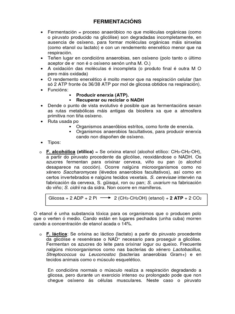 Metabolismo - FermentaciÃ Ns | PDF