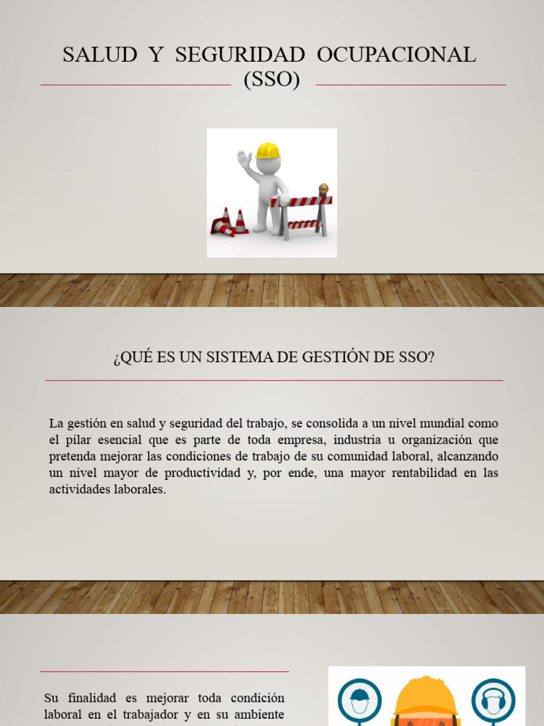 Salud Y Seguridad Ocupacional (SSO) | PDF | Seguridad y salud ocupacional | Factores humanos y ...