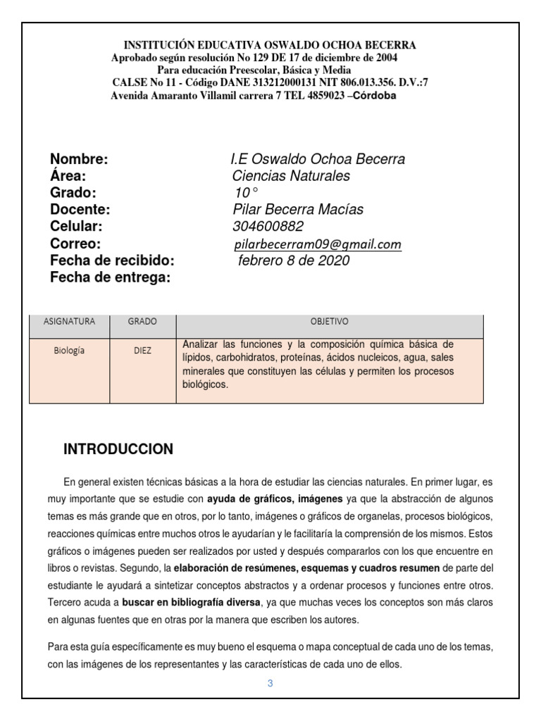 Guia de Decimo Grado | PDF | Adn | Traducción (biología)