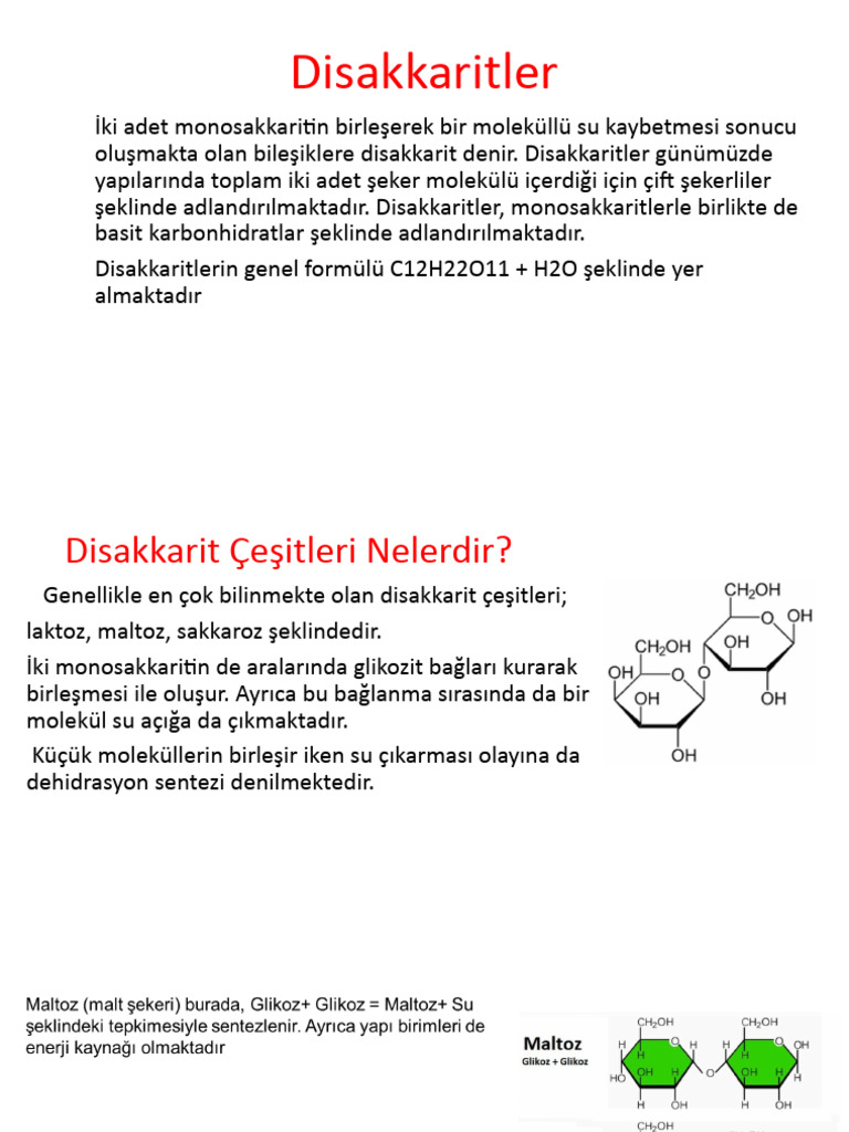 Karbonhi̇dratlar Ve Yağlar | PDF