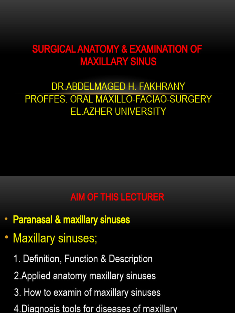 Maxillary Sinus Anatomy and Examination | PDF | Human Anatomy | Human ...