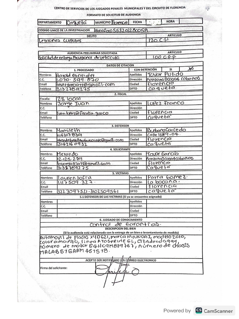 Solicitud Audiencia Epv. | PDF