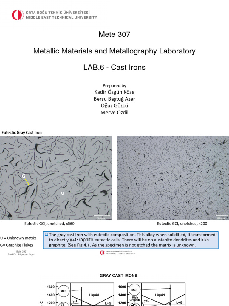 Cast Iron Microstructure Analysis | PDF | Cast Iron | Chemical Substances