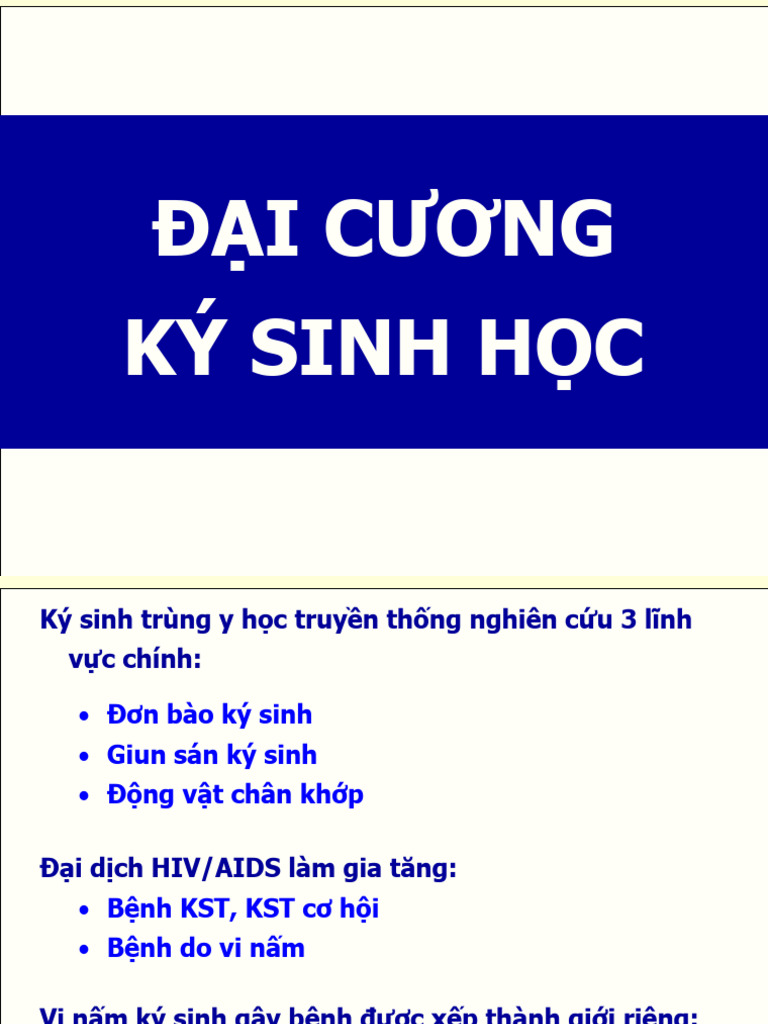 Đại Cương KST 2023 | PDF