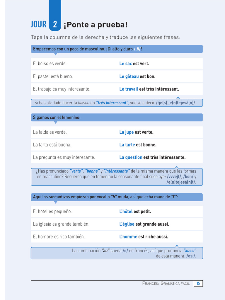 Francés: Adjetivos y Gramática | PDF | Idioma francés | Lingüística
