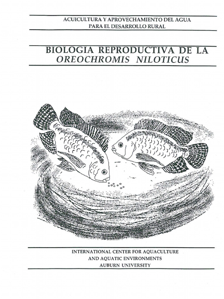 Spanish Reproductive Biology of Oreochromis | PDF