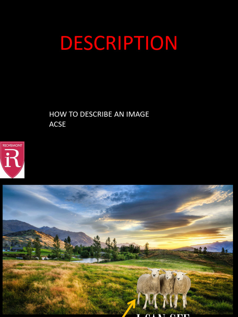 DESCRIPTION How To Describe An Image | PDF