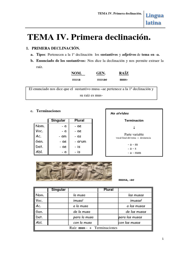 Primera Declinación en Latín: Guía Completa | PDF | Gramática ...