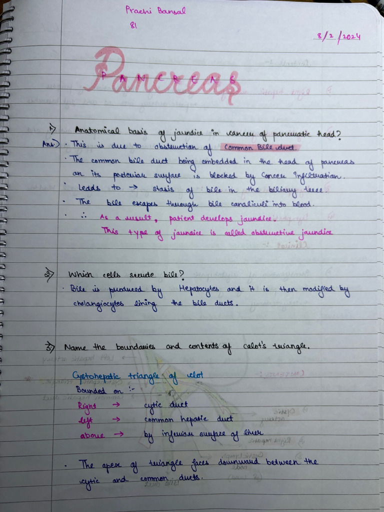 Prachi Bansal Pancreas Assignment | PDF Prachi Bansal Pancreas Assignment | PDF