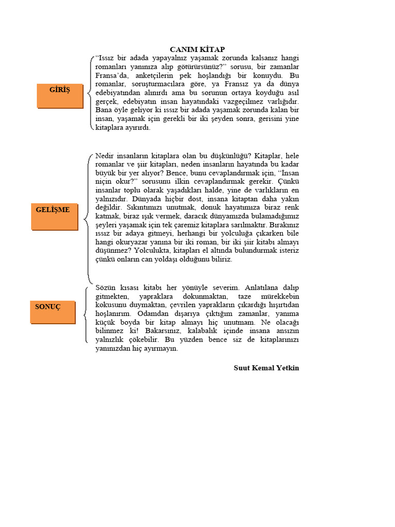 Odev Kompozisyon Ornegi-S. Kemal Yetkin | PDF