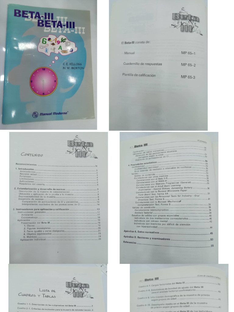 Beta III MANUAL | PDF