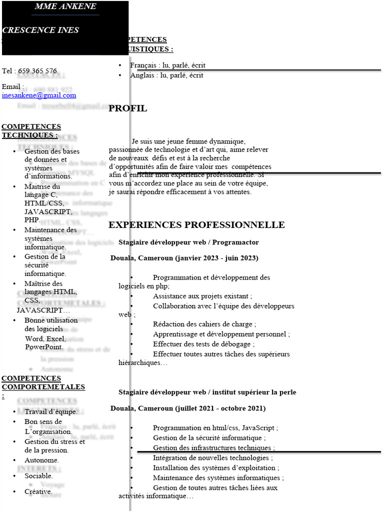 Copie de Ines CV | PDF
