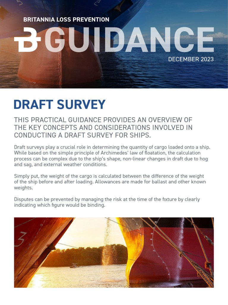 Draft Survey Practical Guidance | PDF