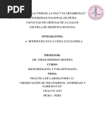 Triatominos: Vectores de Chagas | PDF | Biología