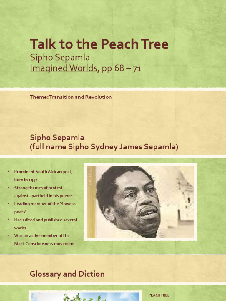 Talk To The Peach Tree Sipho Sepamla | PDF | Poetry | Irony Talk To The Peach Tree Sipho Sepamla | PDF | Poetry | Irony