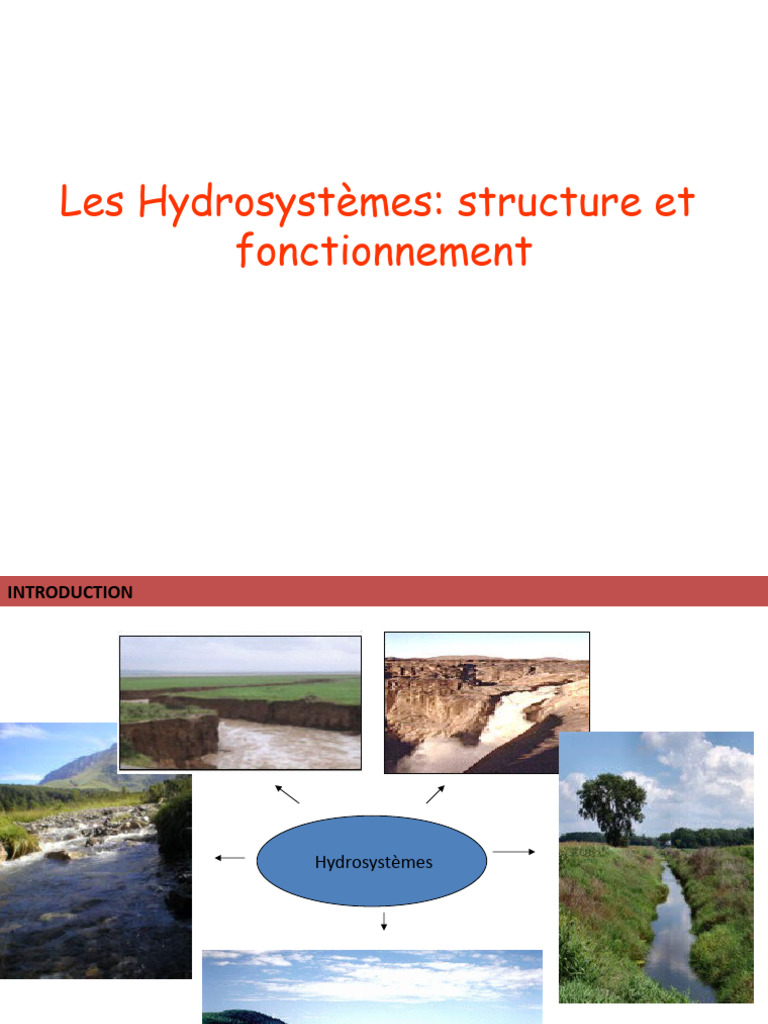 Comprendre les hydrosystèmes aquatiques | PDF | Écosystème aquatique | Zone humide