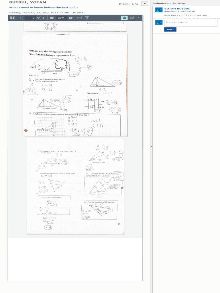 What I Need To Know For The Proportions in Triangle Test Schoology | PDF