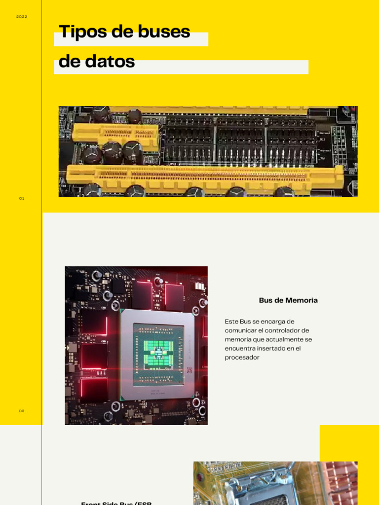Tipos de Buses de Datos | PDF