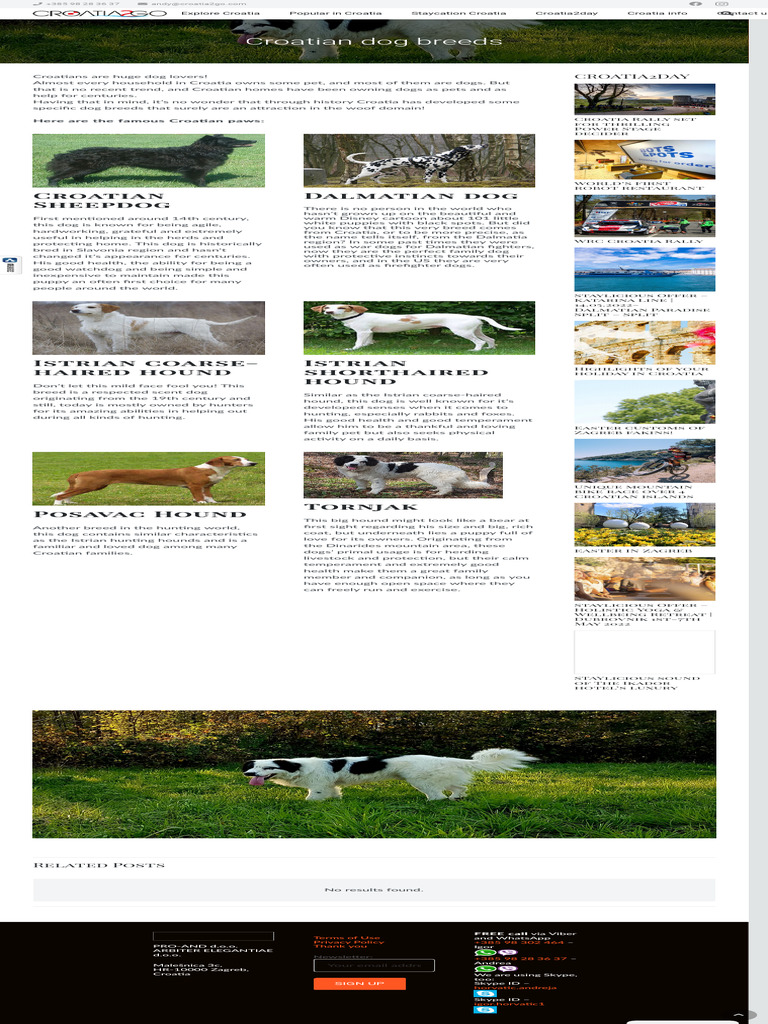 Croatian Dog Breeds - Go To Croatia | PDF | Dogs | Animals And Humans