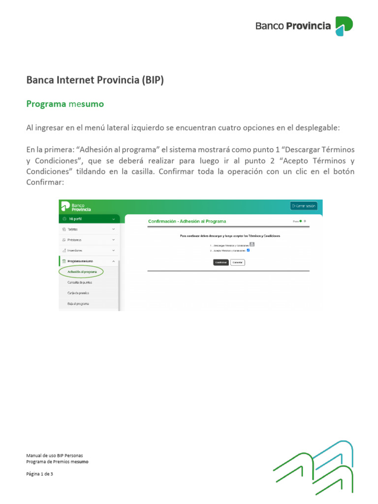 Guía del Programa mesumo BIP | PDF
