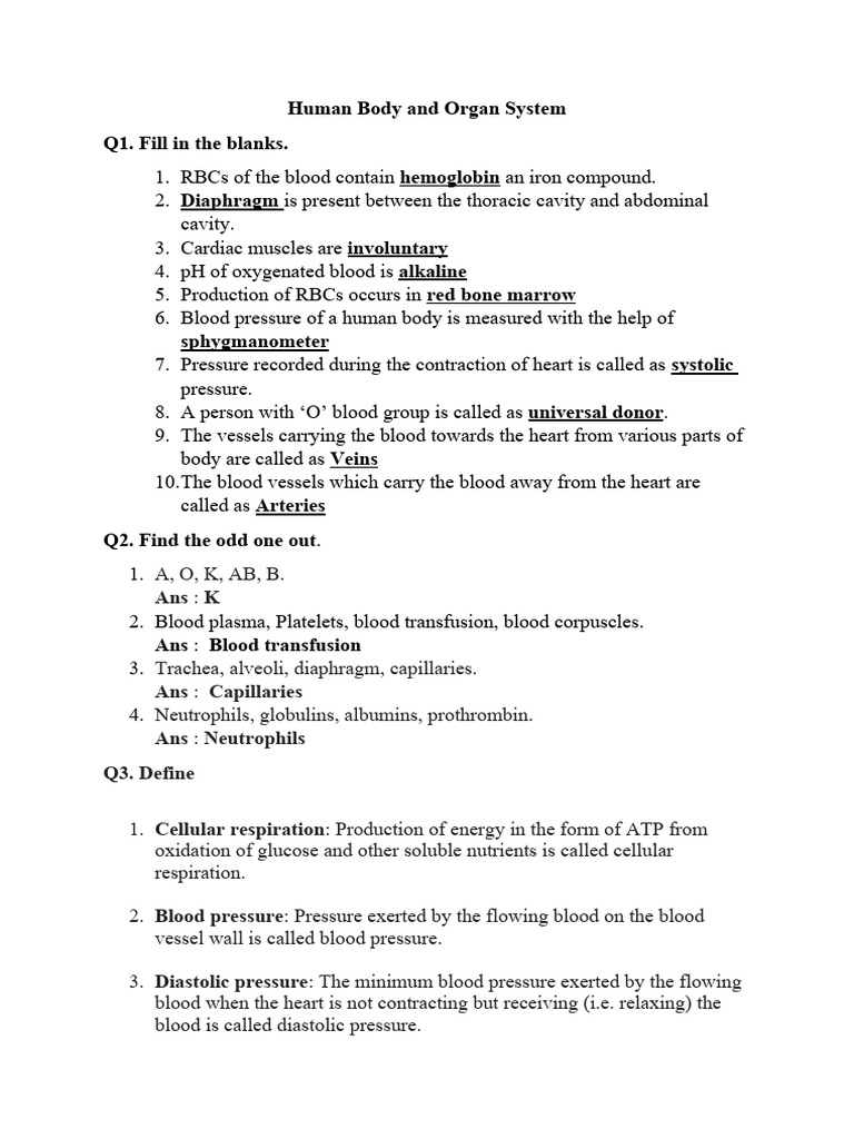 Human Body and Organ System | PDF | Blood | White Blood Cell