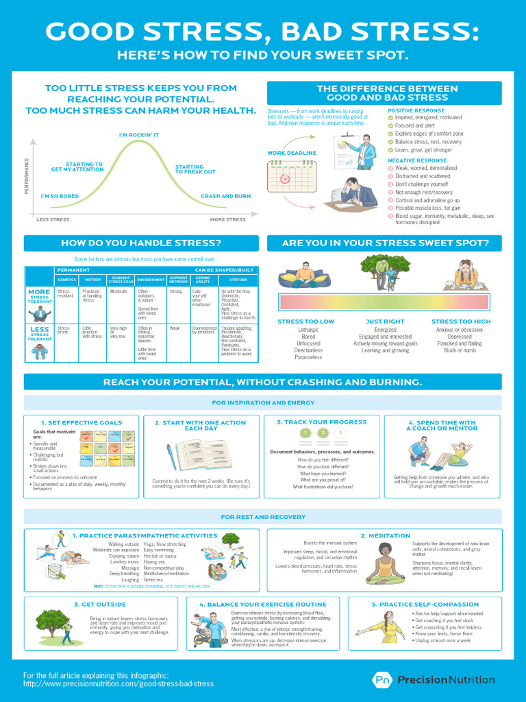 Good Stress Bad Stress Infographic Poster | PDF | Stress (Biology ...
