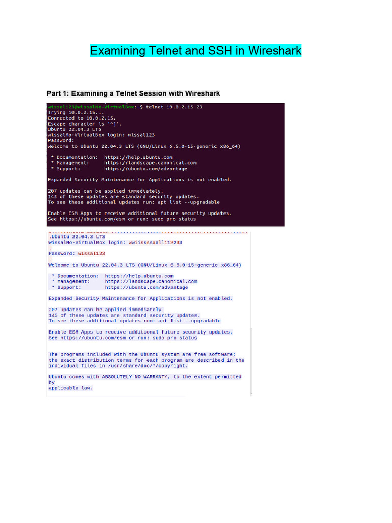 Examining Telnet and SSH in Wireshark | PDF | Technology & Engineering Examining Telnet and SSH in Wireshark | PDF | Technology & Engineering