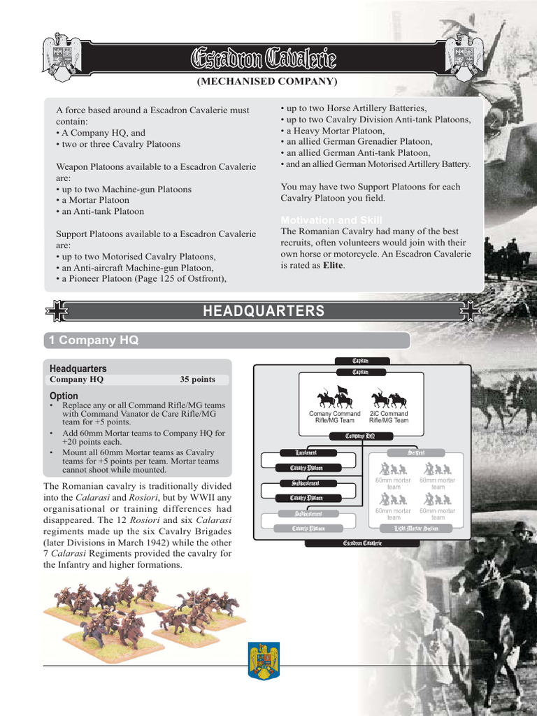 Romanian Cavalry Briefing | PDF | Platoon | Cavalry