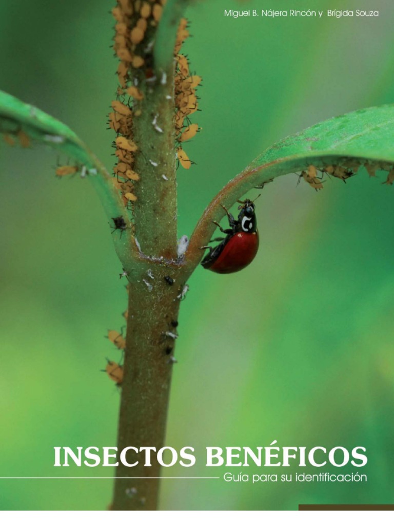 INSECTOS_BENEFICOS