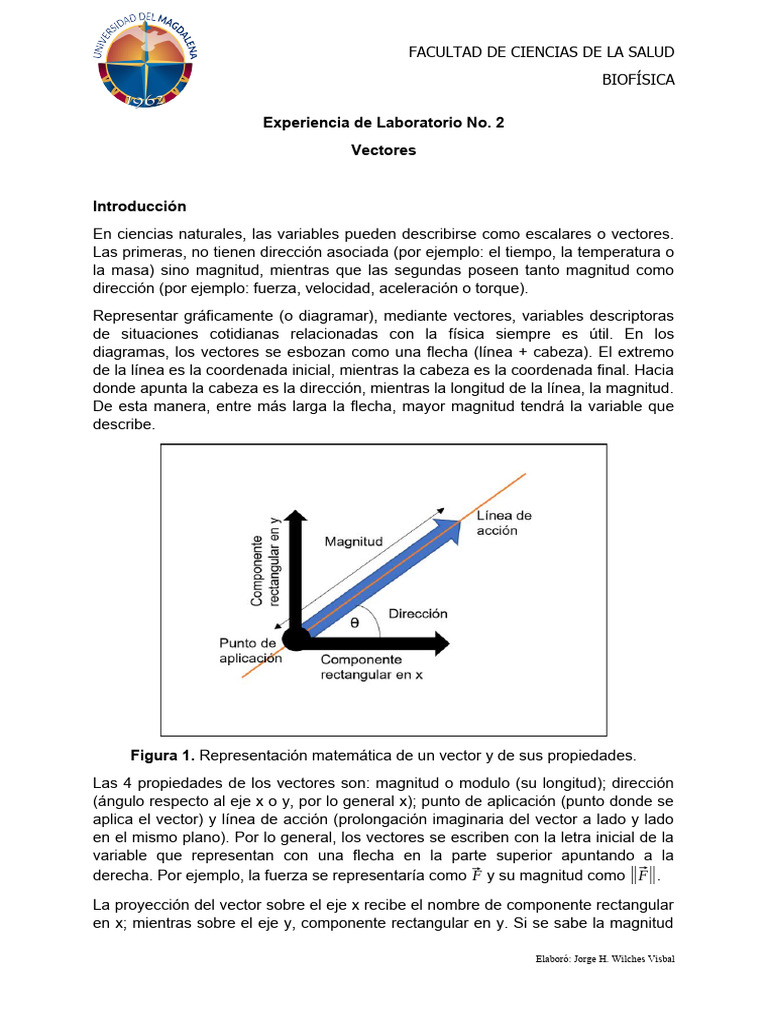Guia de Laboratorio Vectores | Descargar gratis PDF | Vector Euclidiano | Sistema de coordenadas ...