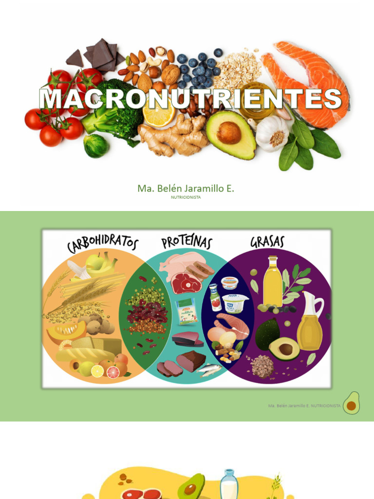 MACRONUTRIENTES | PDF | Aminoácidos | Proteínas