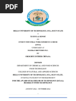 Siwes Presentation Template | PDF