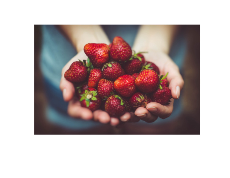 Fresas | PDF