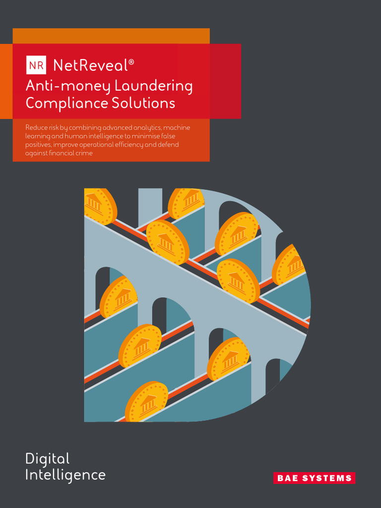 AML Solution Brochure GLOBAL 2022Feb+WEB | PDF | Money Laundering ...