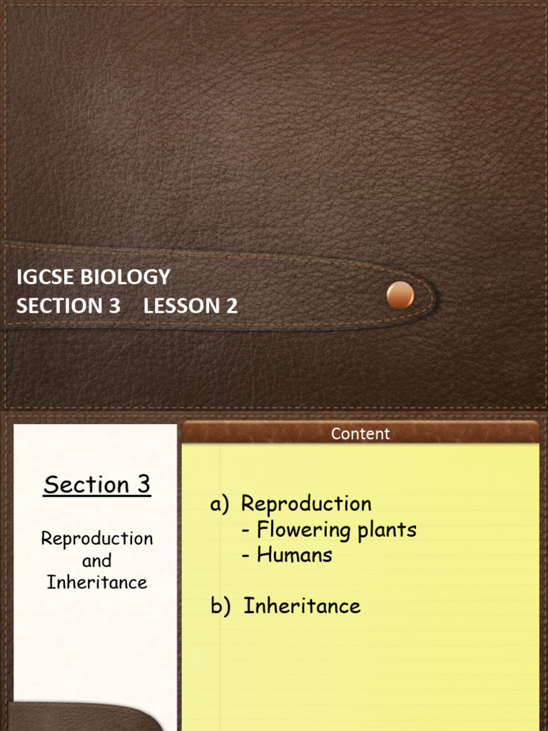 Igcse Biology Section 3 Lesson 2 Reproduction Menstrual Cycle