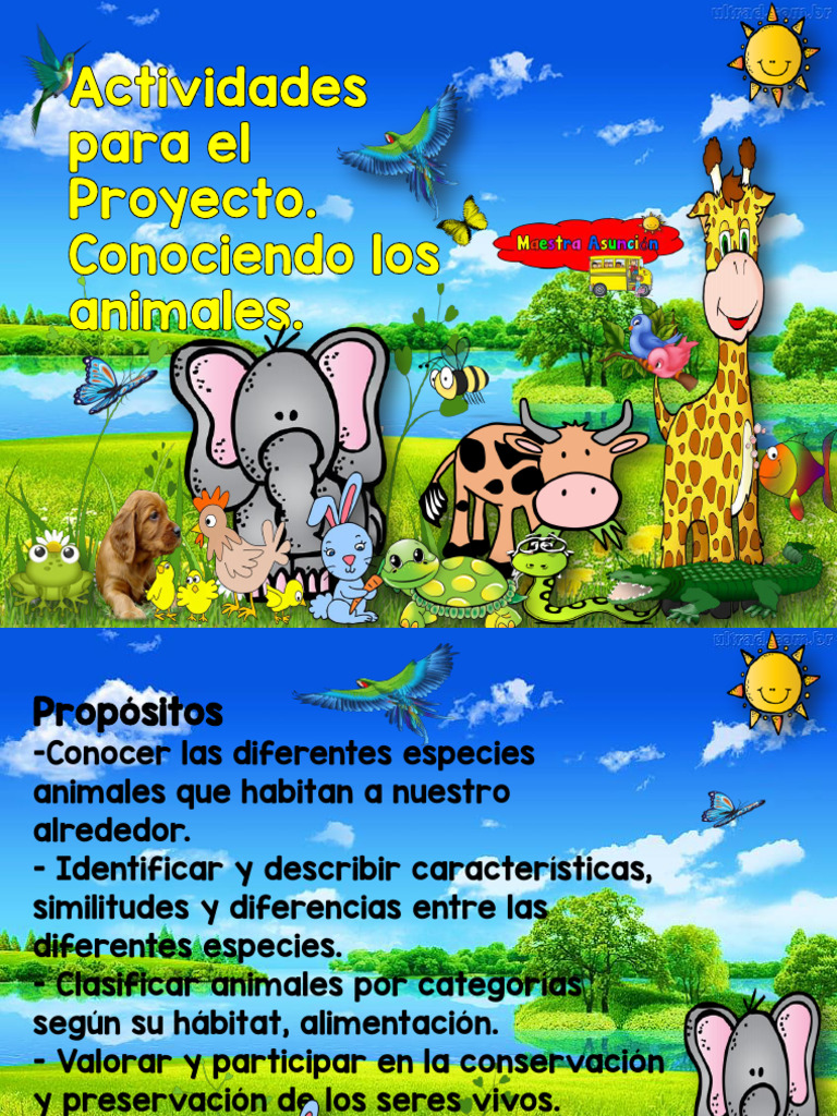 Conociendo Los Animales. Plan de Actividades | PDF | Ficción general