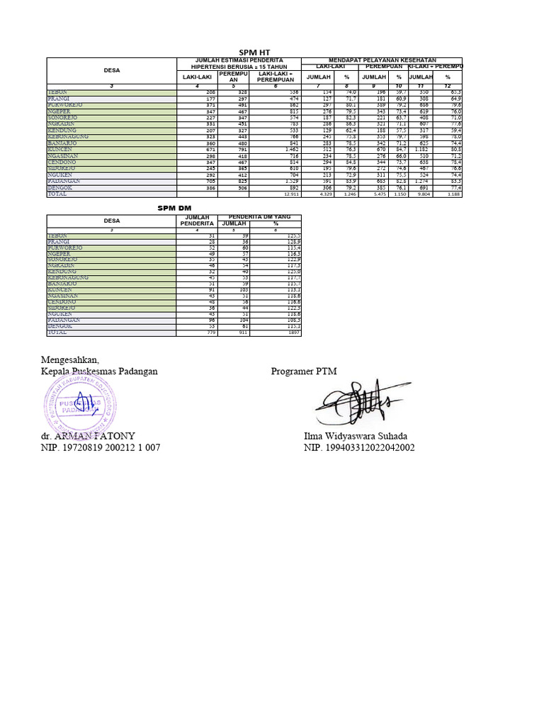 Data Dukung e Kinerja SPM DM HT | PDF