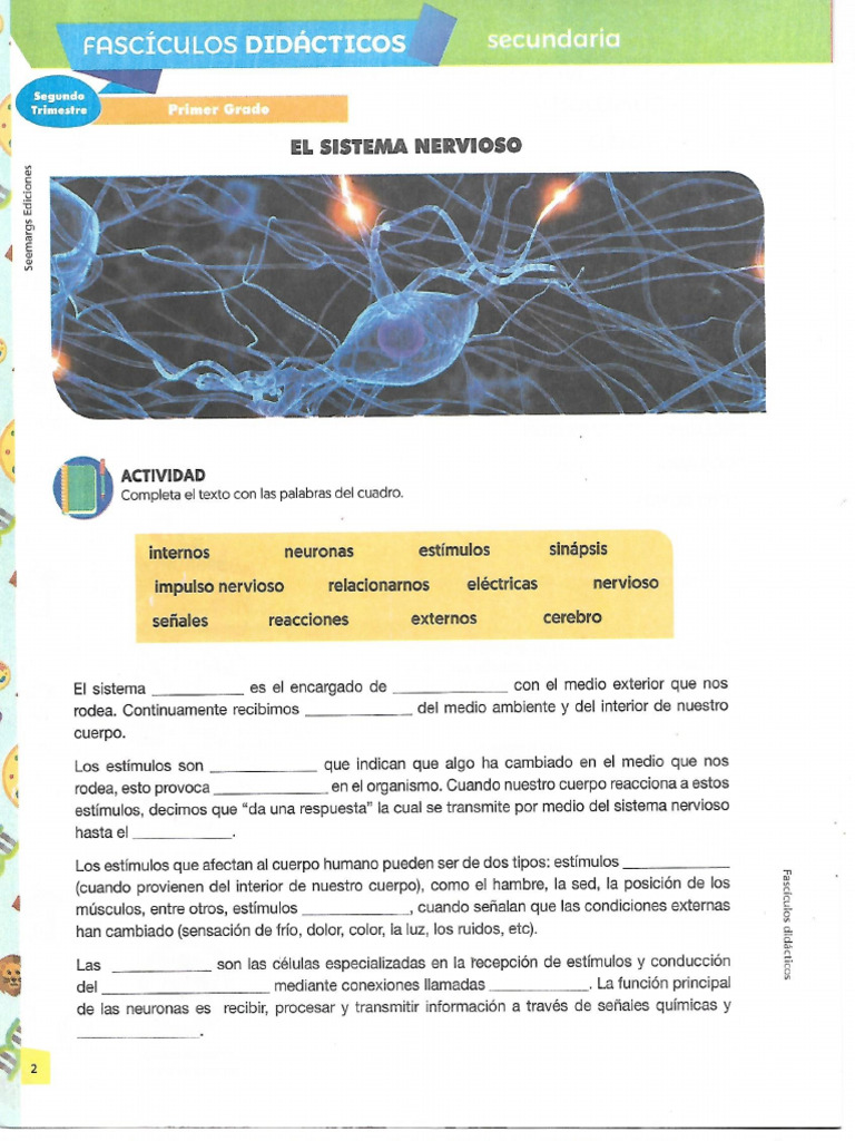 Xciencias MKMKMKM | PDF