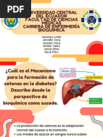 Triada Clásica de la Diabetes | PDF | Diabetes | Medicina CLINICA