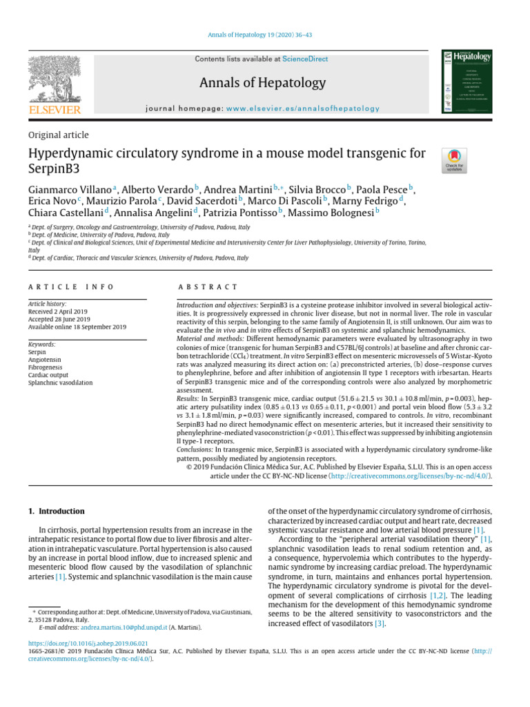 Hyperdynamic Circulatory Syndrome in A Mouse Model Trans - 2020 ...